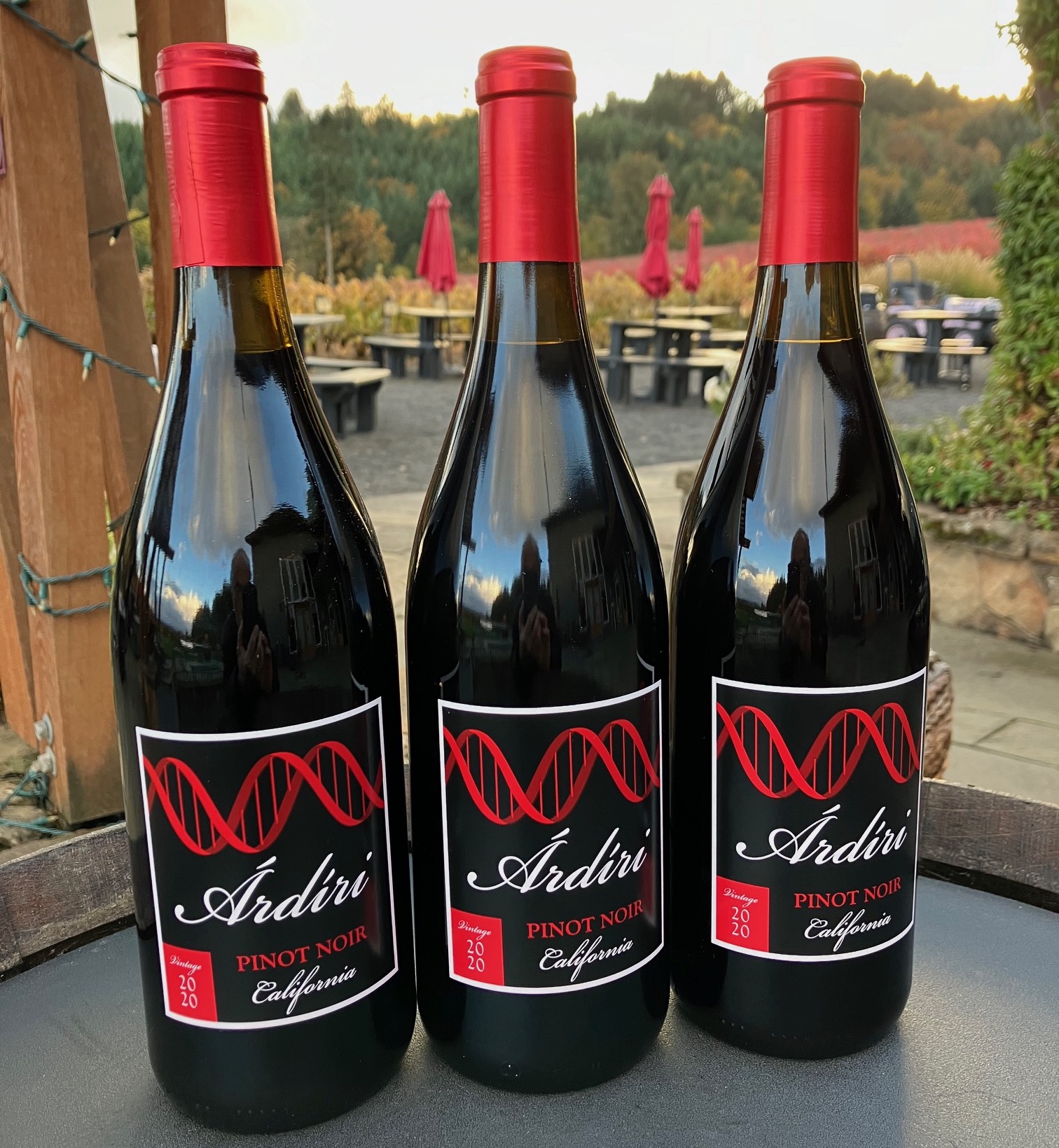 This Week At Árdíri - Árdíri Wine
